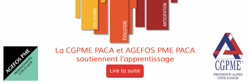 diapo_agefos_cgpme-paca_apprentissage – CPME Sud Provence Alpes Côte d'Azur